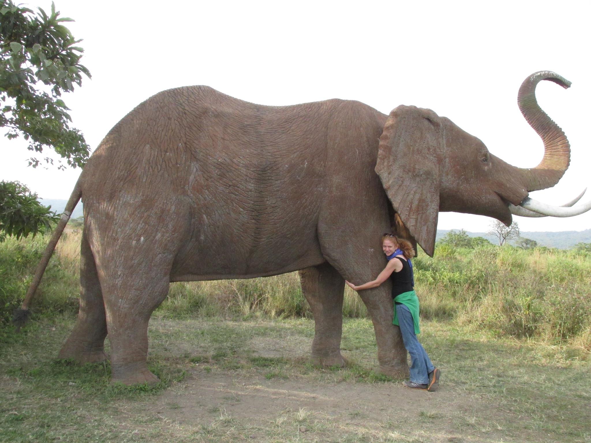 Africa 2016 | H.O.W.L.